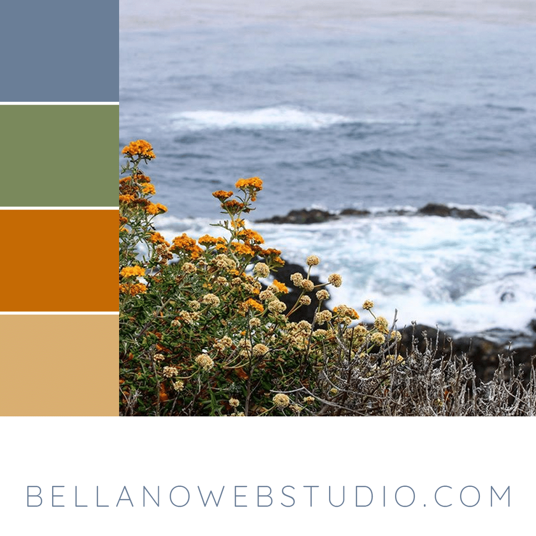 Fun October Color Palettes - Bellano Web Studio
