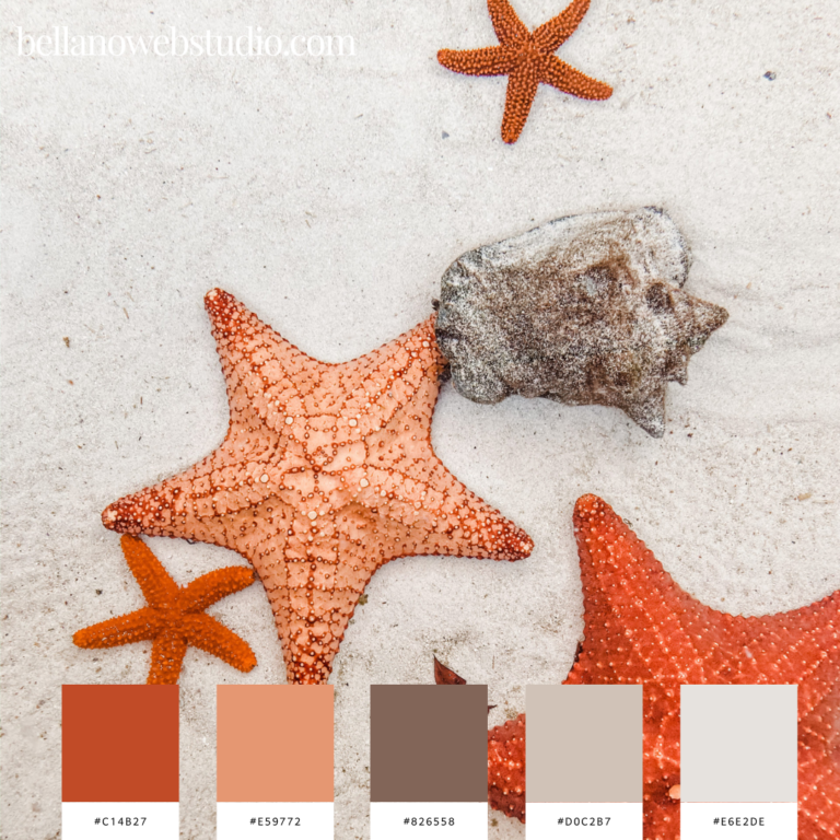 Choose the Perfect Summer Color Palette - Bellano Web Studio