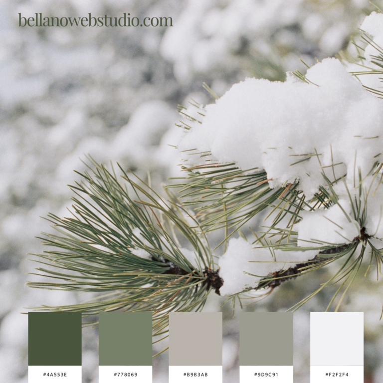 Winter-Inspired Color Palettes - Bellano Web Studio