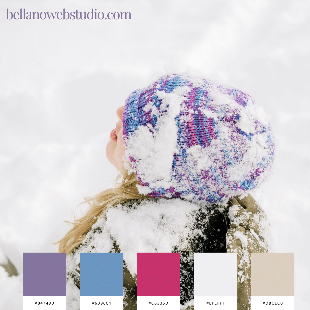 Winter-Inspired Color Palettes - Bellano Web Studio