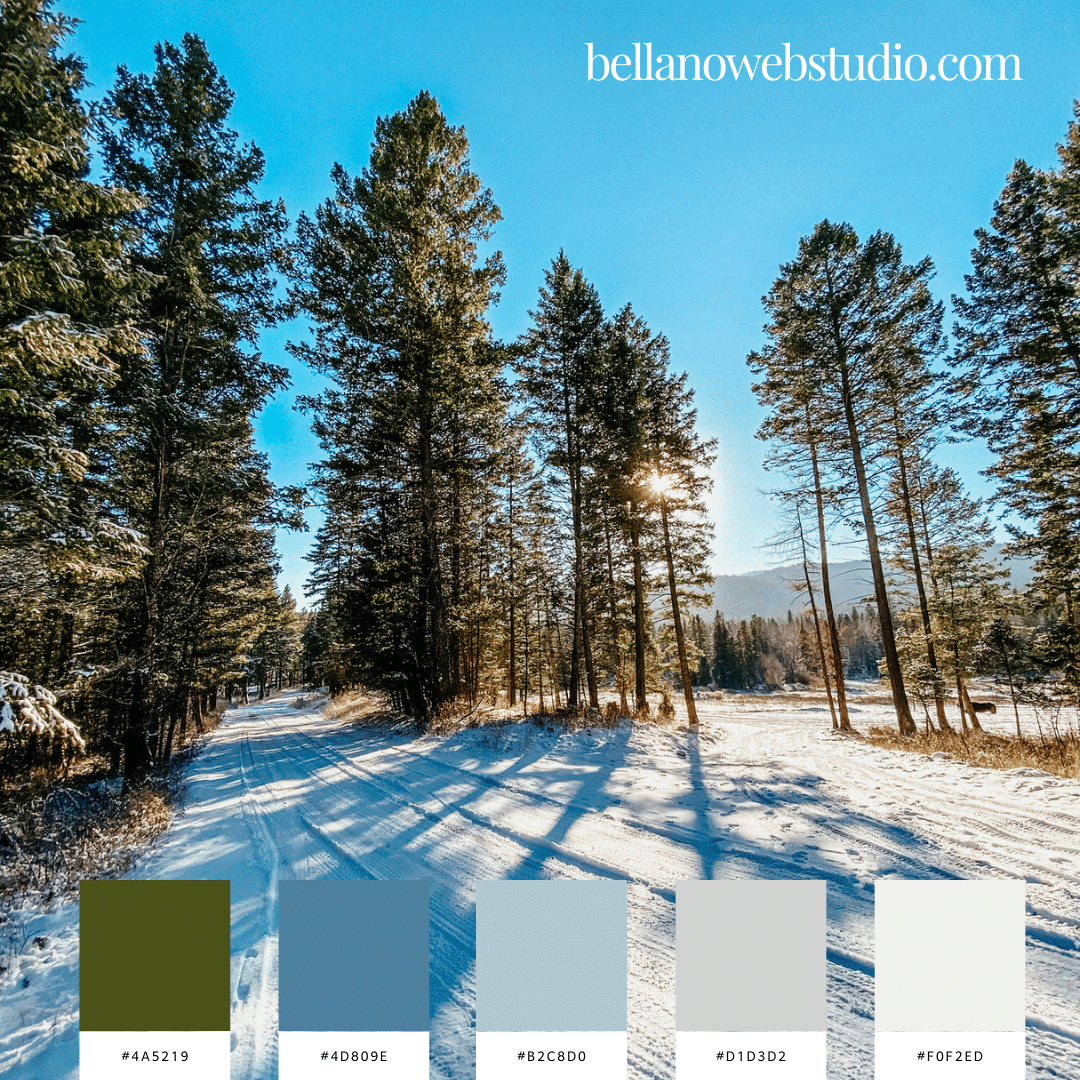 Winter-Inspired Color Palettes - Bellano Web Studio