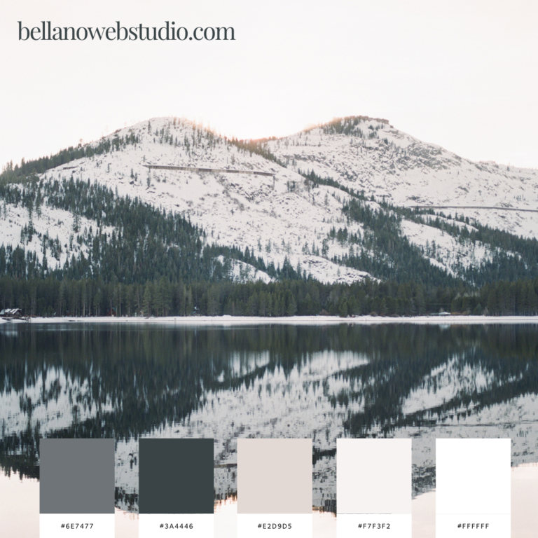 Winter-Inspired Color Palettes - Bellano Web Studio