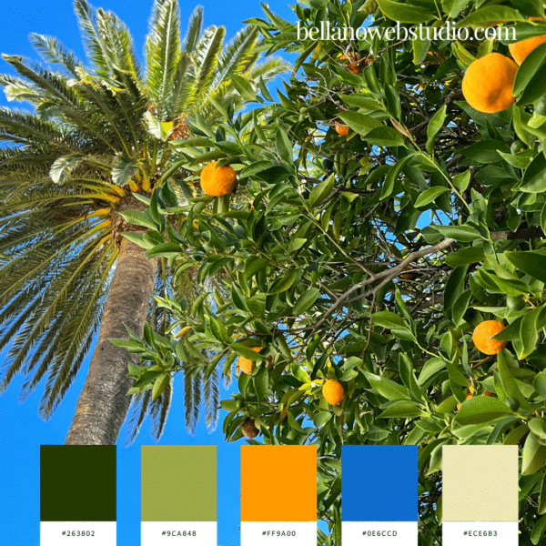 California Dreaming: Vacation Color palettes - Bellano Web Studio