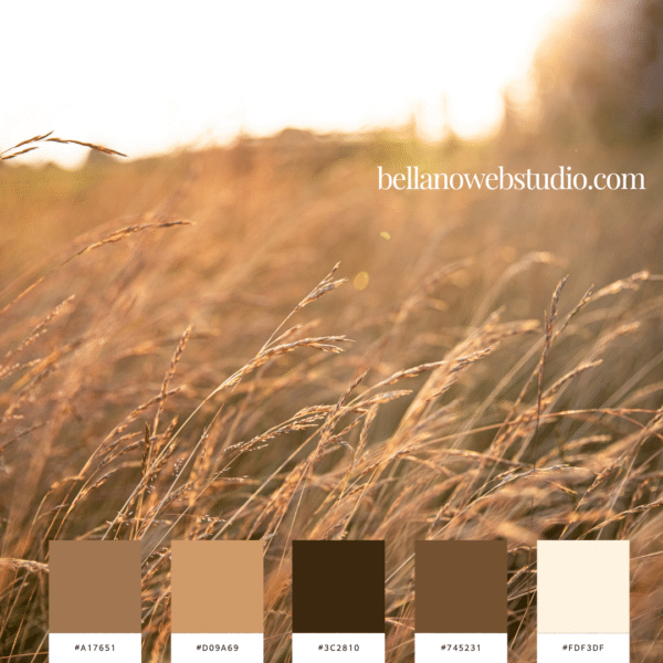 10 Cozy Fall Color Palettes - Bellano Web Studio