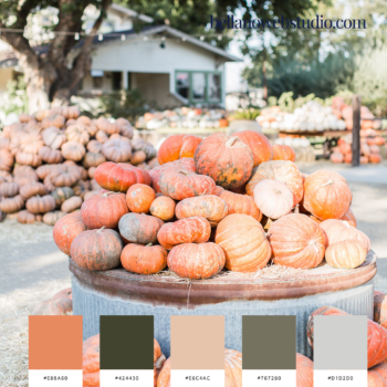 10 Cozy Fall Color Palettes - Bellano Web Studio